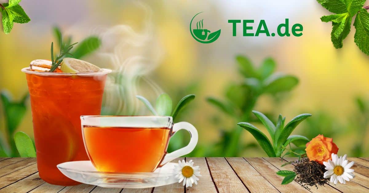 Tee & Gesundheit – Wirkung, Vorteile & Tipps